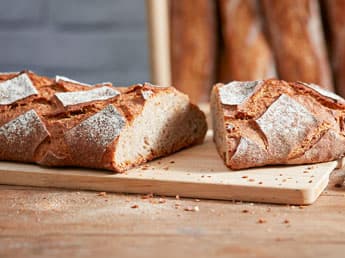 Le levain de sarrasin | Grands Moulins de Paris | Grands Moulins de Paris